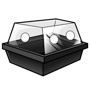 Accessories – Spore Sorcery