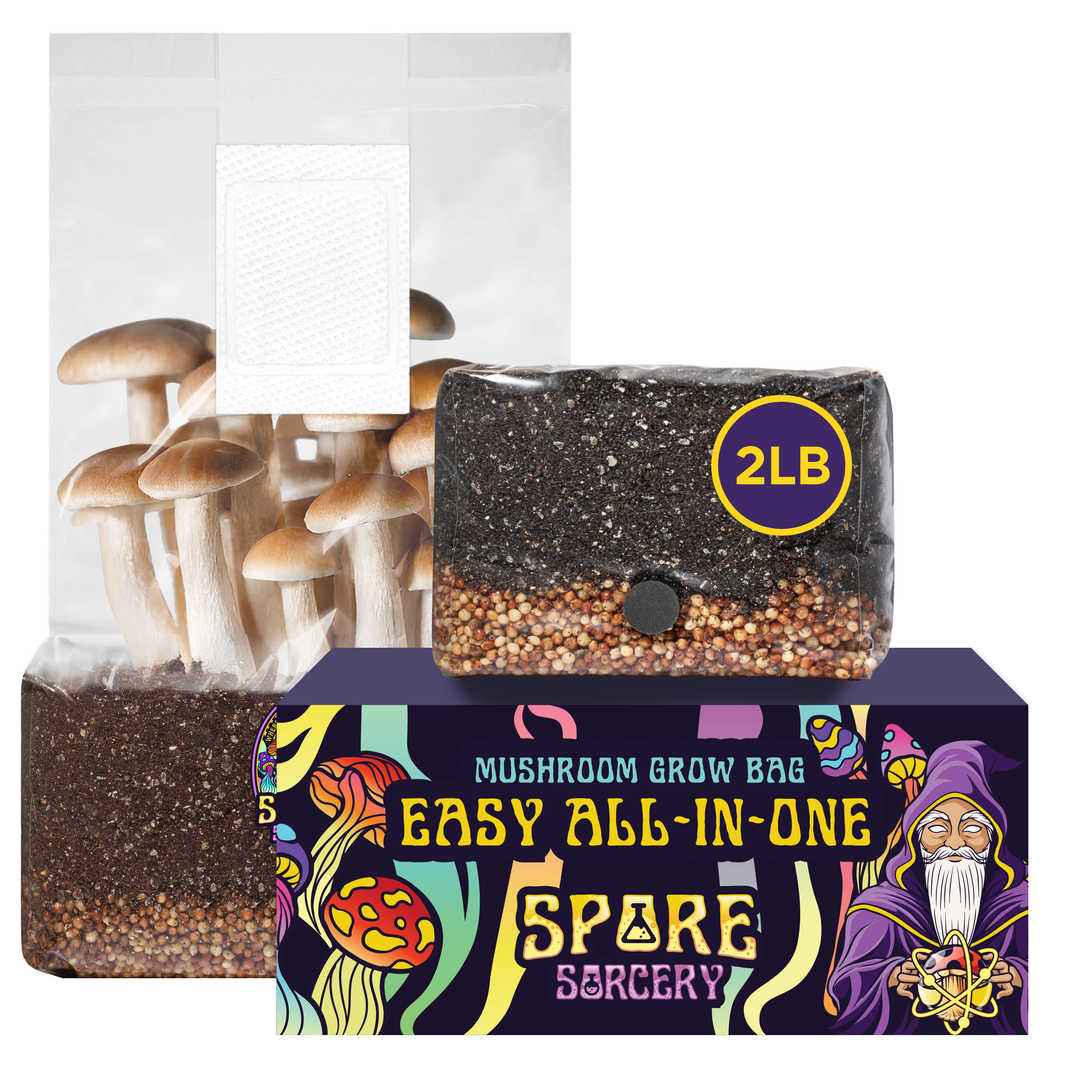 All in One Mushroom Grow Bag for Beginners | Spore Sorcery