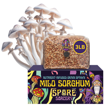 All Products – Spore Sorcery