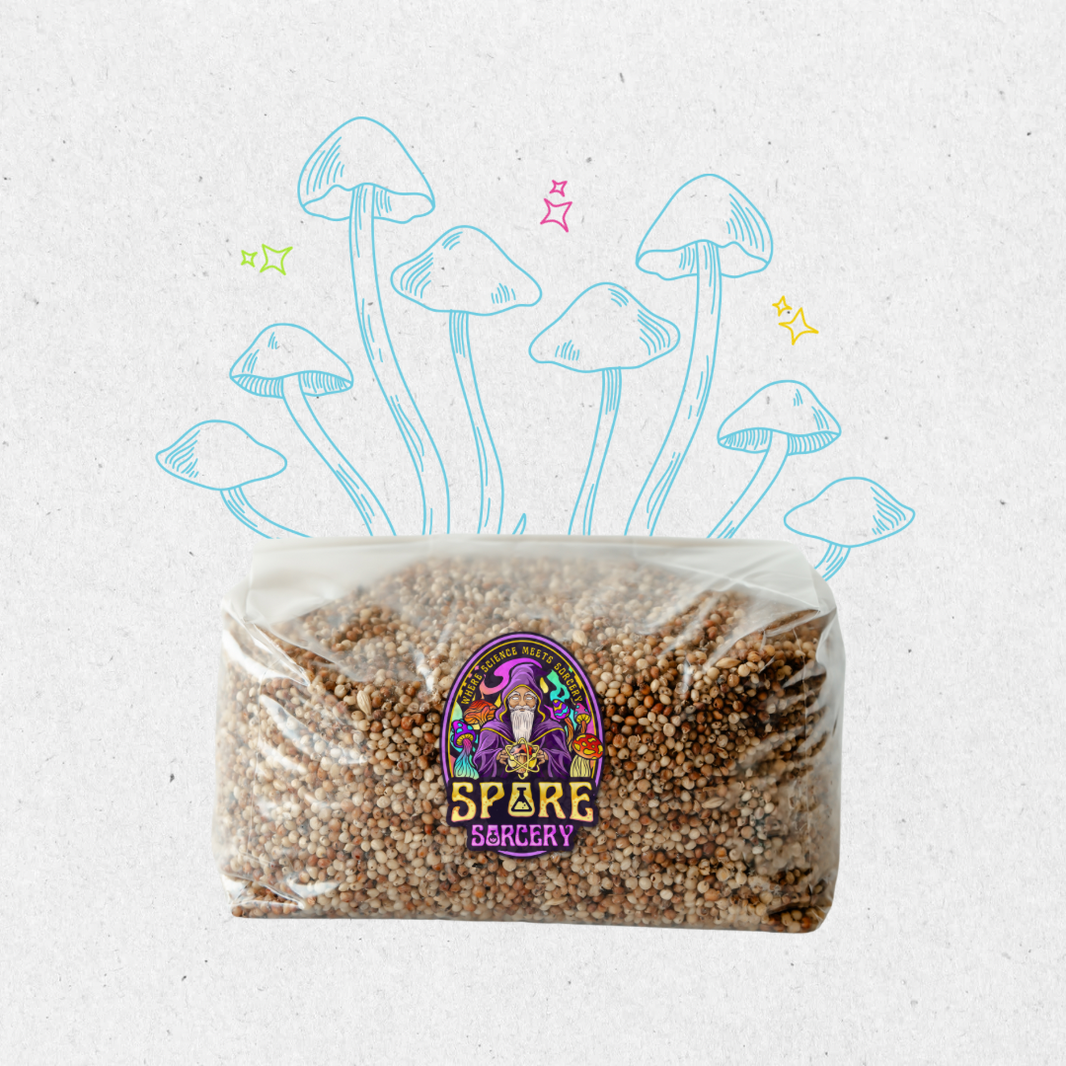Free Shipping Premium Mushroom Cultivation Kits | Spore Sorcery