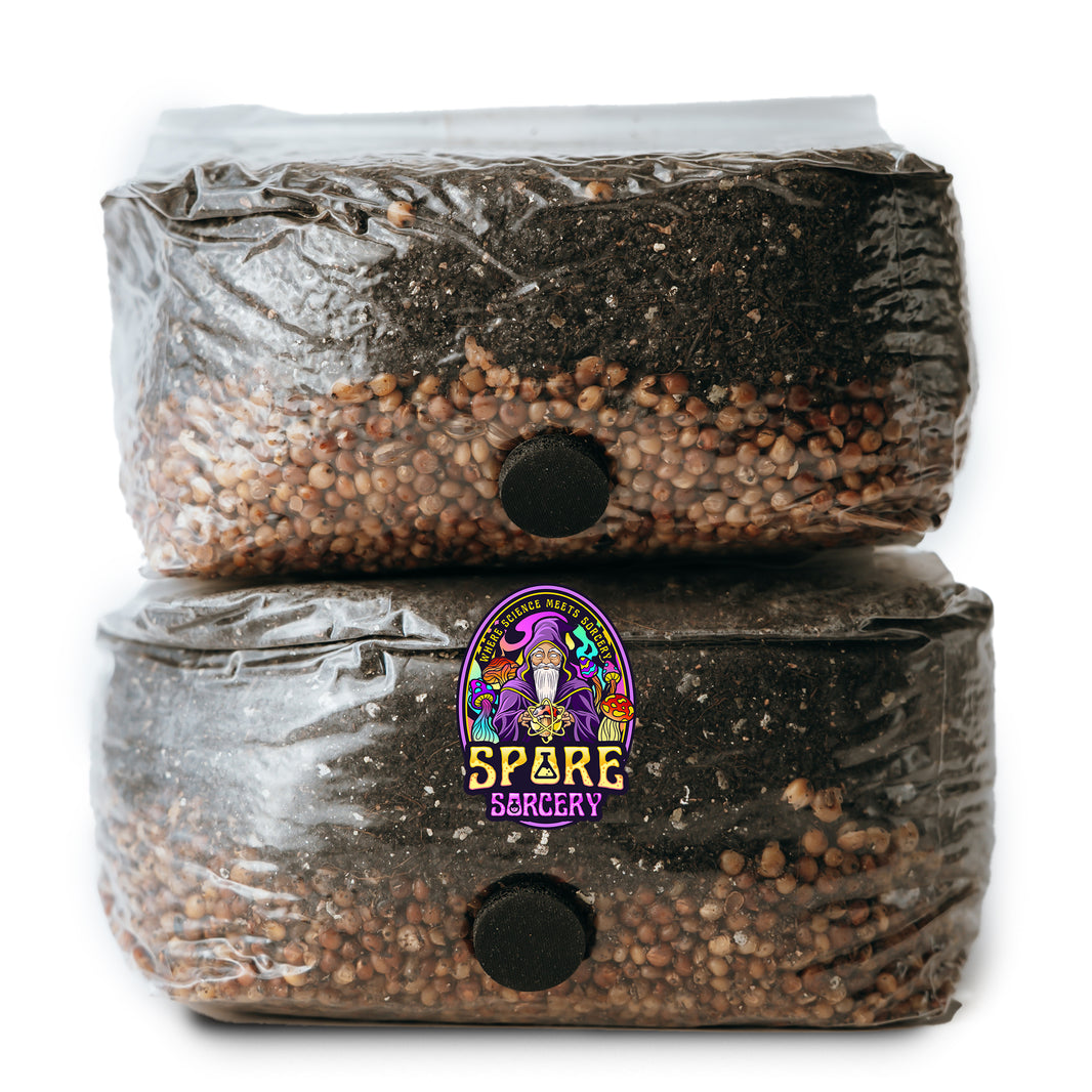 All in One Mushroom Grow Bag for Beginners | Spore Sorcery