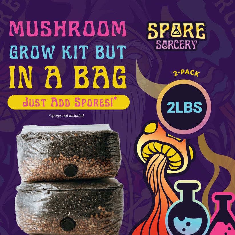 2 Pack | 2lb All-In-One Mushroom Grow Kit In Bag (Spores Not Included ...
