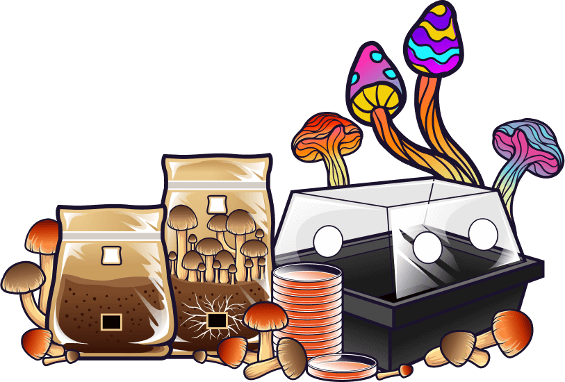 How to Use Mono Tub – Spore Sorcery